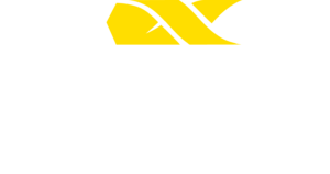 Alpha Tools | No Doubt | Premium Power Tool Accessories